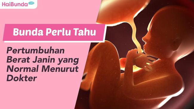 Bunda Perlu Tahu, Pertumbuhan Berat Janin yang Normal Menurut Dokter