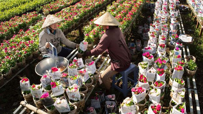 Bunga Favorit Seseorang Bisa Dijadikan Dasar untuk Menebak ...