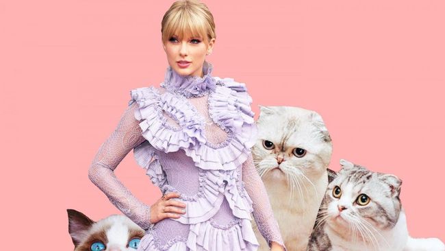 5 Selebritas Populer Ini Hobi Pelihara Kucing, Duh Potret Bucinnya ...