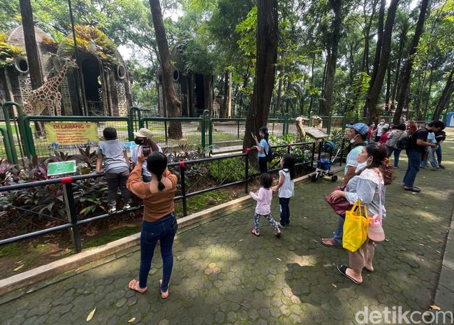 Cara Beli Tiket Ragunan Online & Syarat Masuk Terbarunya, Sudah Tahu Bun?