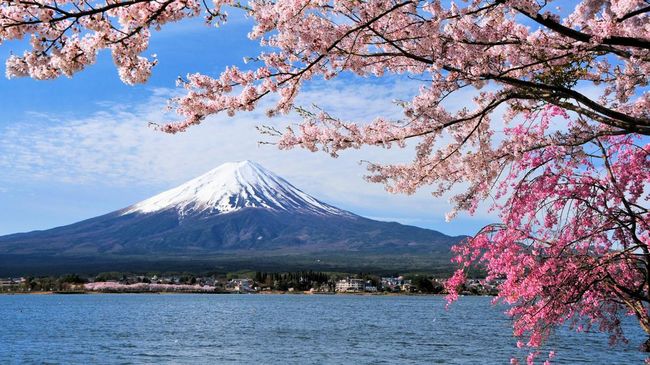 Melihat Gunung Fuji Hingga Tokyo DisneySea dengan Harga Miring? Boleh ...