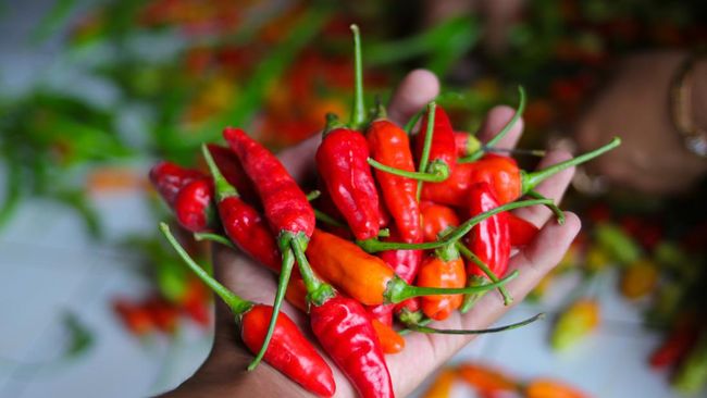 Duh! Harga Cabai Rawit Merah Tembus Rp100 Ribu/Kg