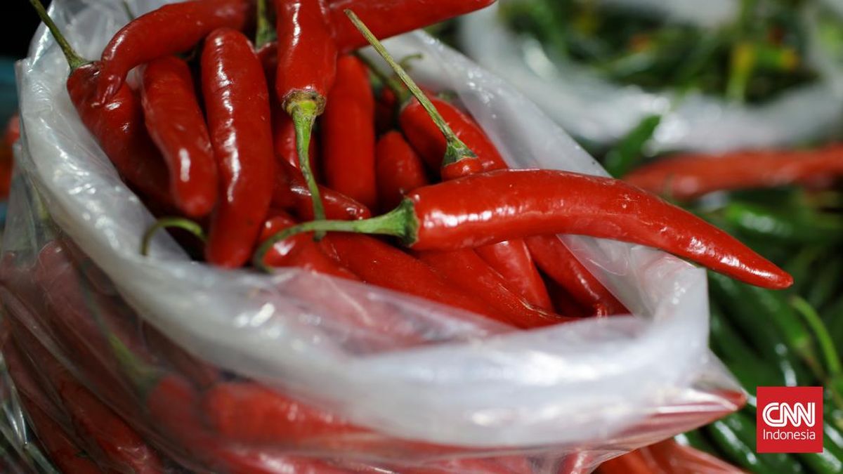 Harga Cabai Merah Kian 'Pedas', Tembus Rp100 Ribu per Kg di Merauke