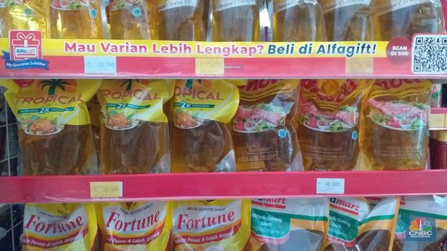 PalmCo Akan Jadi Raja Dunia, Harga Minyak Goreng Masih Mahal?