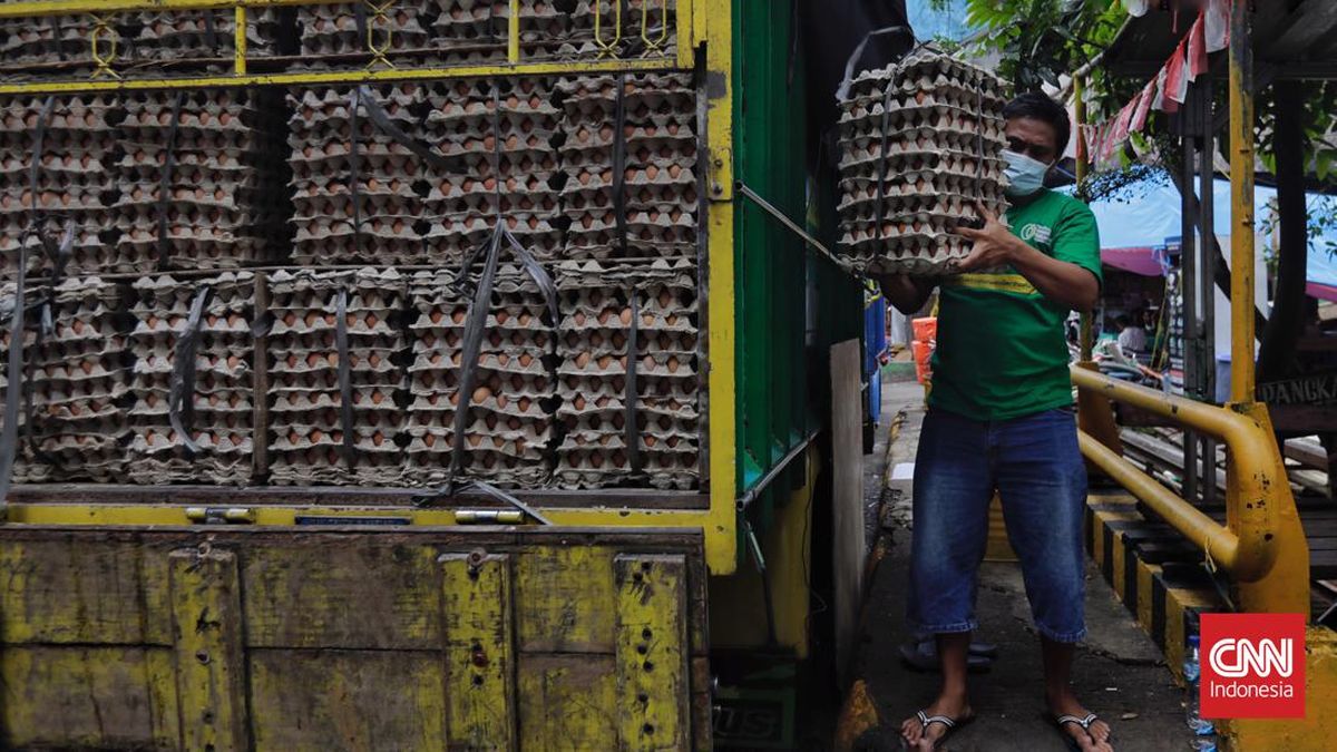 Harga Pangan Suram, Telur Ayam Kian Mahal Tembus Rp30 Ribu per Kg