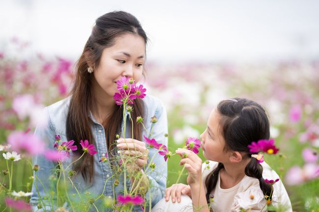 Ketahui Bagian-bagian Bunga dan Fungsinya yang Sering Jadi Materi ...