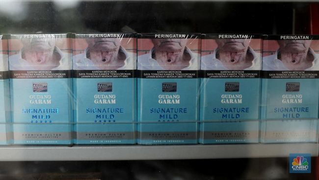 Tiktok-Instagram Mirip Rokok, Mau Dikasih Label Bahaya Ancam Kesehatan