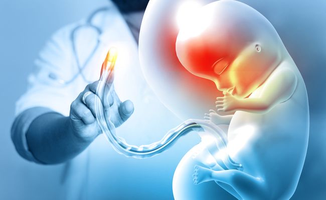 4 Rumus Taksiran Berat Badan Janin & Cara Mudah Menghitungnya