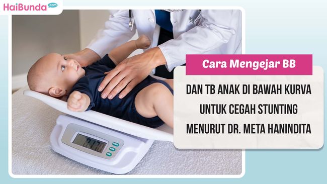 Cara Mengejar BB & TB Anak di Bawah Kurva untuk Cegah Stunting Menurut ...