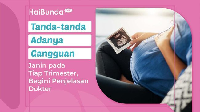 Tanda-tanda Adanya Gangguan Janin pada Tiap Trimester, Begini Penjelasan Dokter
