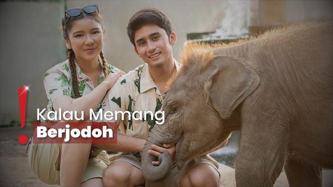 Hotman Paris Siap Buatkan Perjanjian Pra-Nikah Alshad Ahmad & Tiara