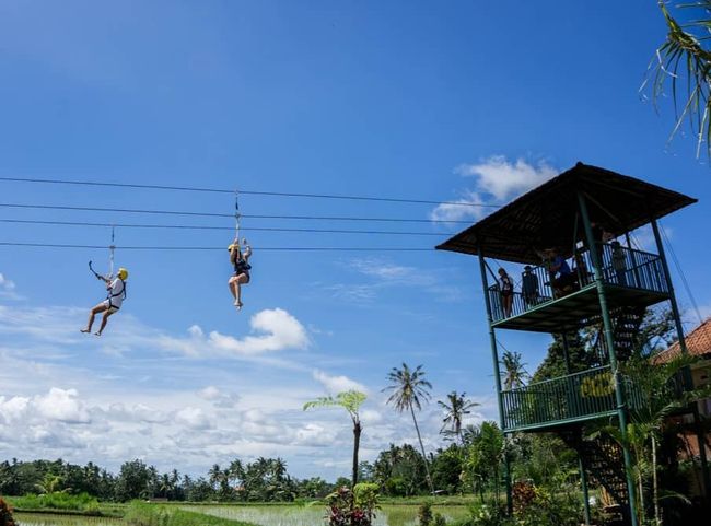 5 Rekomendasi Tempat Outbound Terbaik di Indonesia, Seru dan Menantang!