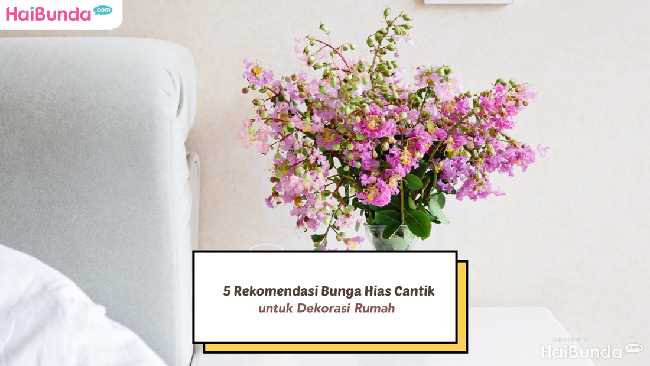 5 Rekomendasi Bunga Hias Cantik untuk Dekorasi Rumah, Pilih yang Mana?