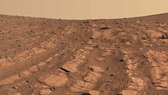 NASA Rekrut Tim 'Terbang' ke Mars, Ini Syaratnya