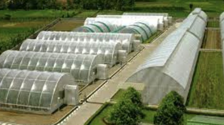 Lalai Jalankan Tugas Manajemen, BISI Berhentikan Direktur Andy Gumala