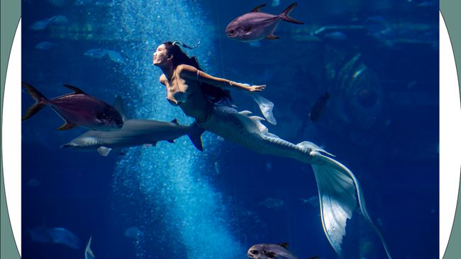 Mitos tentang Putri Duyung