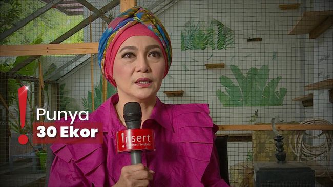 Dikenal Lewat Film 'Lupus', Firdha Razak Banting Setir Bisnis Penitipan ...