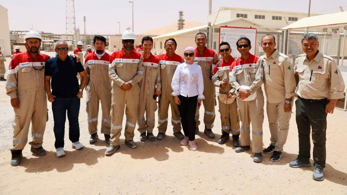 Upaya Penuhi Ketahanan Energi, Pertamina Ekspansi ke Gurun Sahara