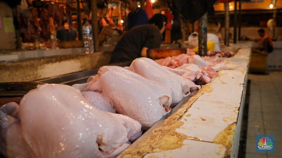 Harga Daging Ayam 'Mahal Gila', Ternyata Ini Penyebabnya