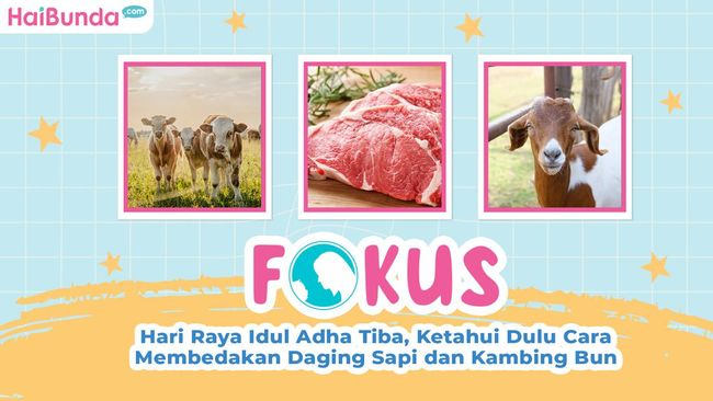 Hari Raya Idul Adha Tiba, Ketahui Dulu Cara Membedakan Daging Sapi dan Kambing Bun