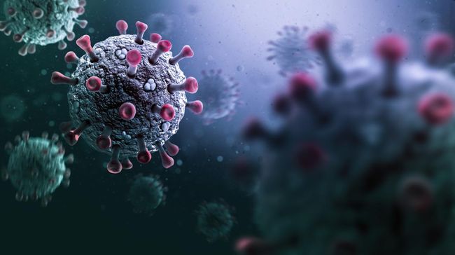 Kasus COVID-19 di RI Juga Ikut Melonjak seperti Singapura, Ini Penyebabnya Bun