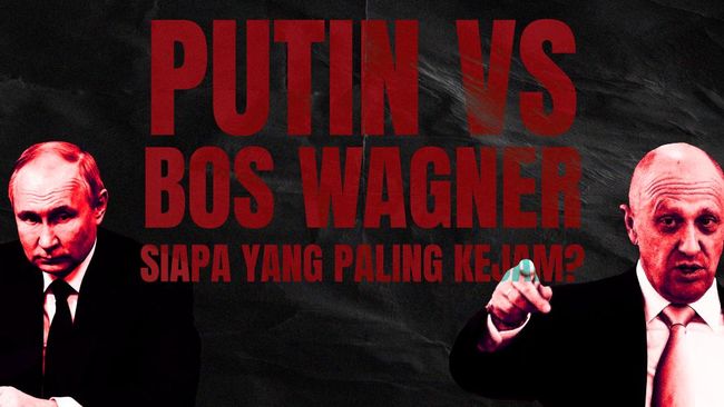 Mengenal Busok, Kucing Ras Asli Indonesia yang Diakui Dunia - paperplane