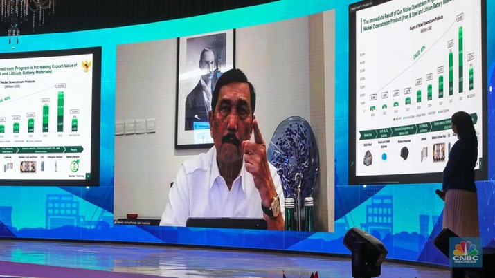 Luhut Beri Warning: Tom Lembong Harus Ngerti Ini Berbahaya!