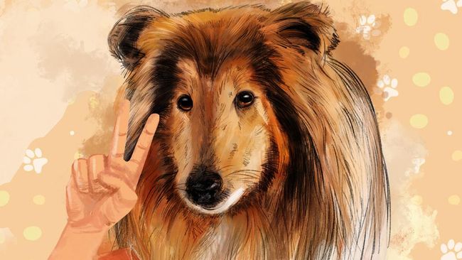 Pria Jepang Jalani Hidup sebagai Anjing, Apa Motivasinya?