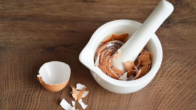 5 Manfaat Kulit Telur dan Cara Tepat Mengolahnya