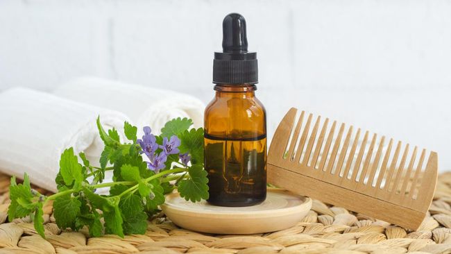 10 Tanaman untuk Penumbuh Rambut, Rambut Lebat Anti Botak & Rontok