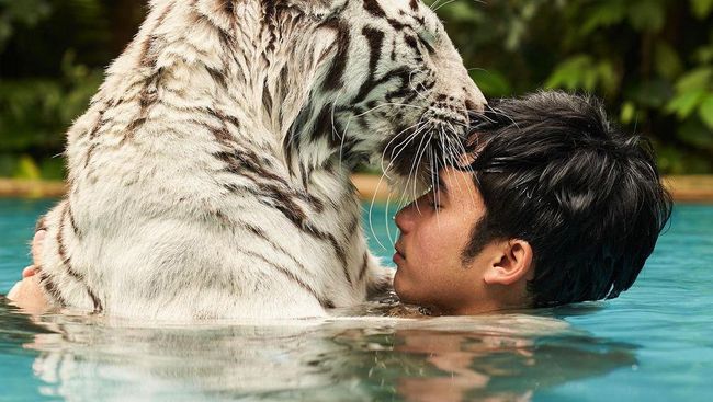 Rumahnya Bak Mini Zoo, 4 Artis Populer Ini Punya Deretan Hewan ...