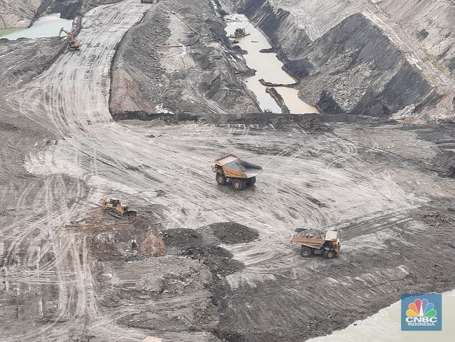 Loh! Ternyata Lebih Cuan Investasi Saham Batu Bara Dibanding Emas