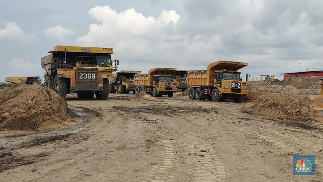 Penuhi DMO, Arutmin Bidik Produksi 24 Juta Ton Batu Bara