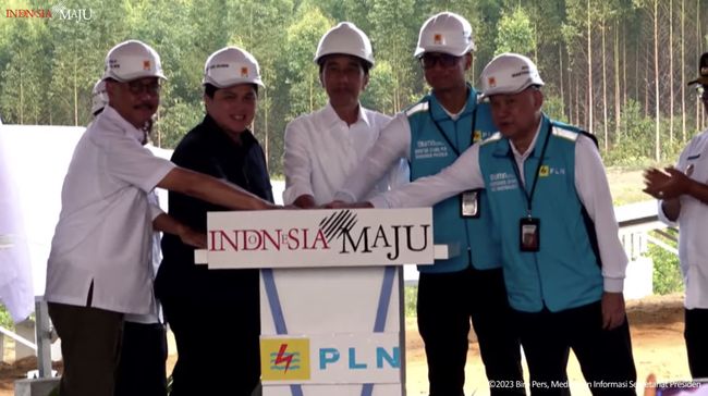 IKN Go Green, Jokowi Resmikan Proyek PLTS 50 MW PLN