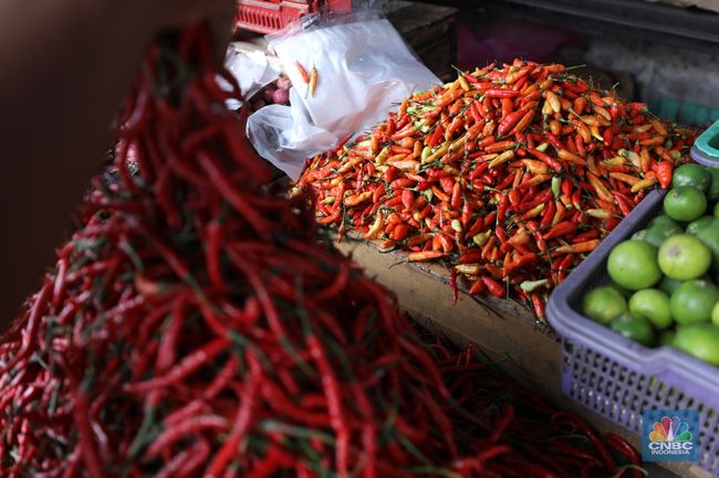 Harga Cabai Tembus Rp120.000/ Kg, Badan Pangan Bilang Gini