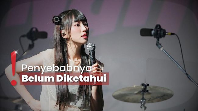 Nahee, Penyanyi Sekaligus Penulis Lagu Korea Selatan Meninggal Dunia