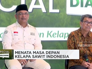 Video: Kilas Balik Industri Sawit RI di 2024