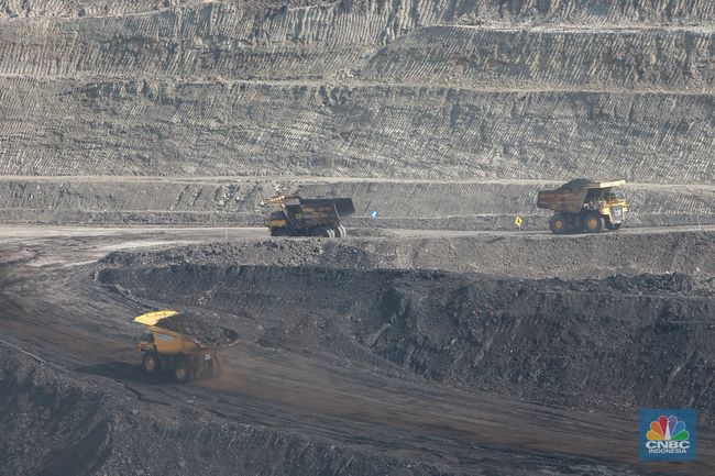 Pengusaha Ramal Produksi Batu Bara RI di 2024 Masih Menggila