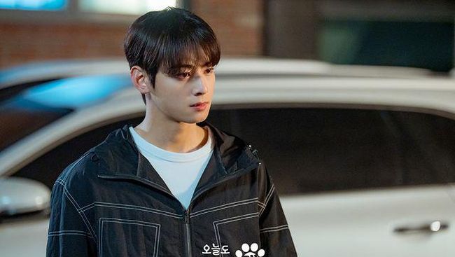 Fantastis, Segini Harga Outfit Cha Eun Woo di Drakor A Good Day to Be a Dog - Foto 1