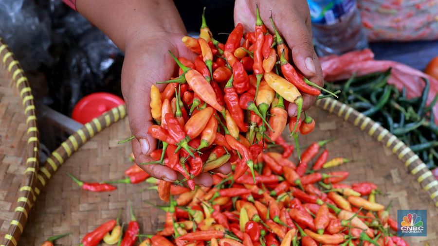 Harga Pangan Hari Ini: Cabai Rawit Merah Ngegas Terus!
