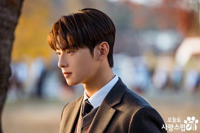 5 Drakor Adaptasi Webtoon Yang Dibintangi Oleh Cha Eun Woo Ada Yang