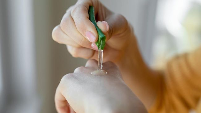 5 Tanaman Penghilang Bekas Luka Secara Alami, Tidak Melulu Pakai Obat Bun!