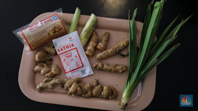 Top! Jamu Khas Indonesia Masuk Warisan Budaya Takbenda UNESCO - Foto 4