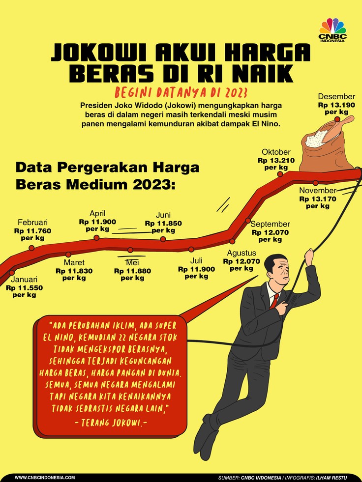 Jokowi Benar Harga Beras di RI Naik, Ini Buktinya