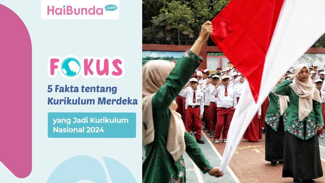 5 Fakta tentang Kurikulum Merdeka yang Jadi Kurikulum Nasional 2024