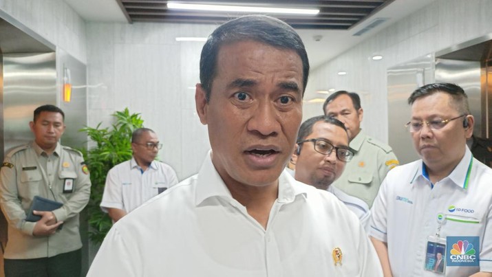 Mentan Amran Buka-Bukaan Soal Kondisi Produksi Beras RI