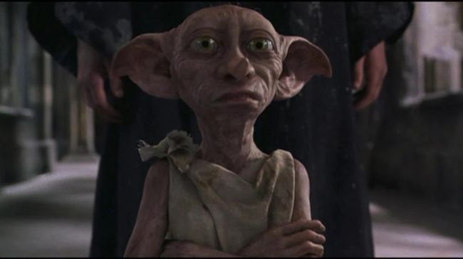Mendadak Viral di TikTok, Ini 5 Fakta Menarik Tentang Dobby Syndrome
