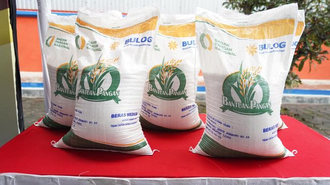 Fakta Lengkap Dibalik Penghentian Sementara Bantuan Beras Jokowi