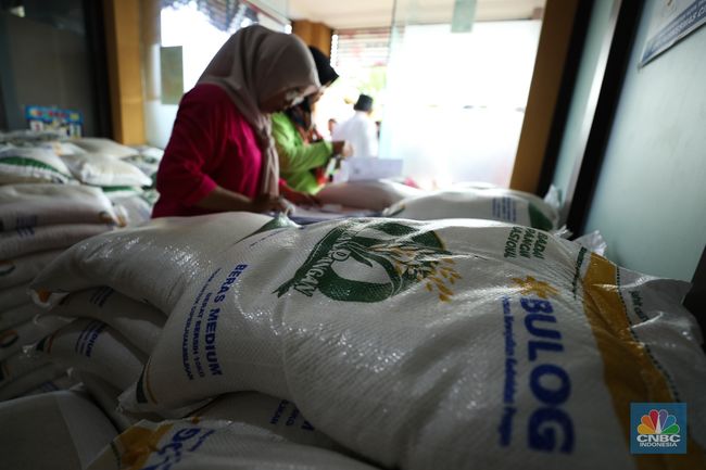 Beras Pemerintah Bakal Dikuras Terus, Stok di Gudang Bulog Cukup?