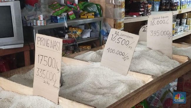 Harga Beras Makin Mahal, Anak Buah Moeldoko Sebut Biang Keroknya Ini